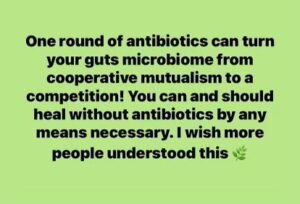 Lisa’s Natural Path – Herb Shop & Wellness Center in Butler PA