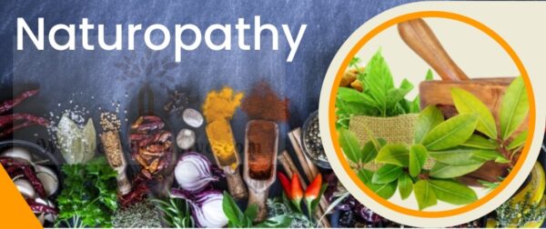 BEST Naturopathic practitioner Butler - if you’re looking for Massage ...